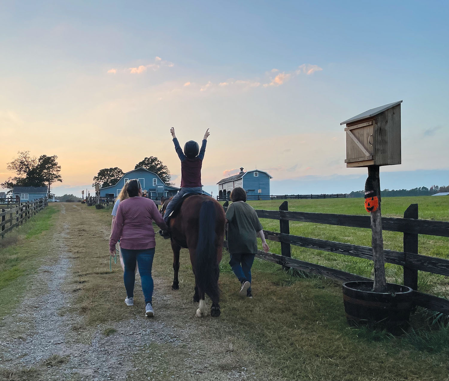 Horses Healing Hearts - Midtown Magazine