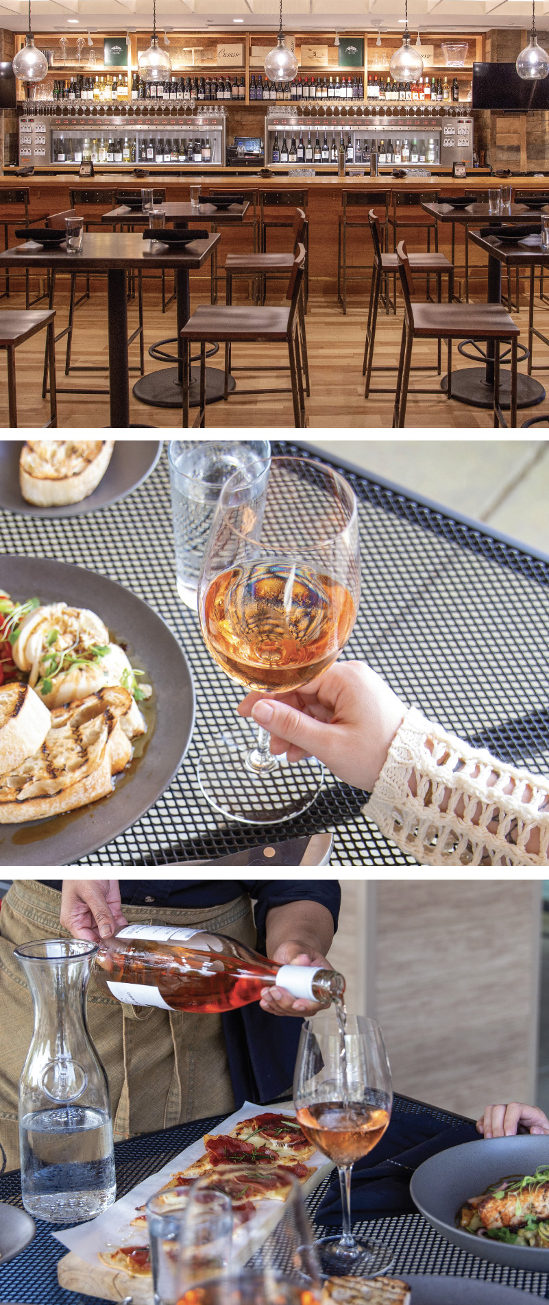 Foxcroft Wine Co.: A Hidden Gem in Raleigh’s North Hills - Midtown Magazine