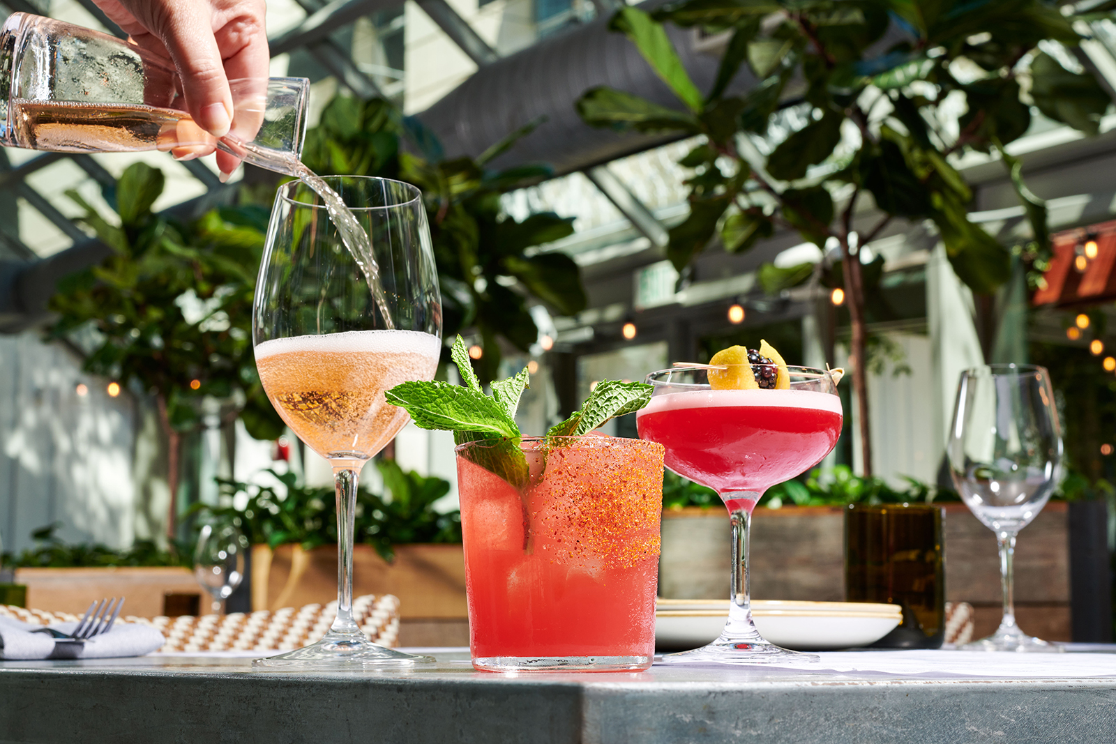 Sixty Vines Hits Raleigh with 60 Wines on Tap