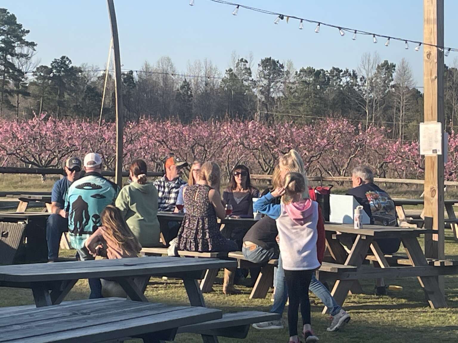 NC Cider Scene Blooms This Spring at James Creek Cider House